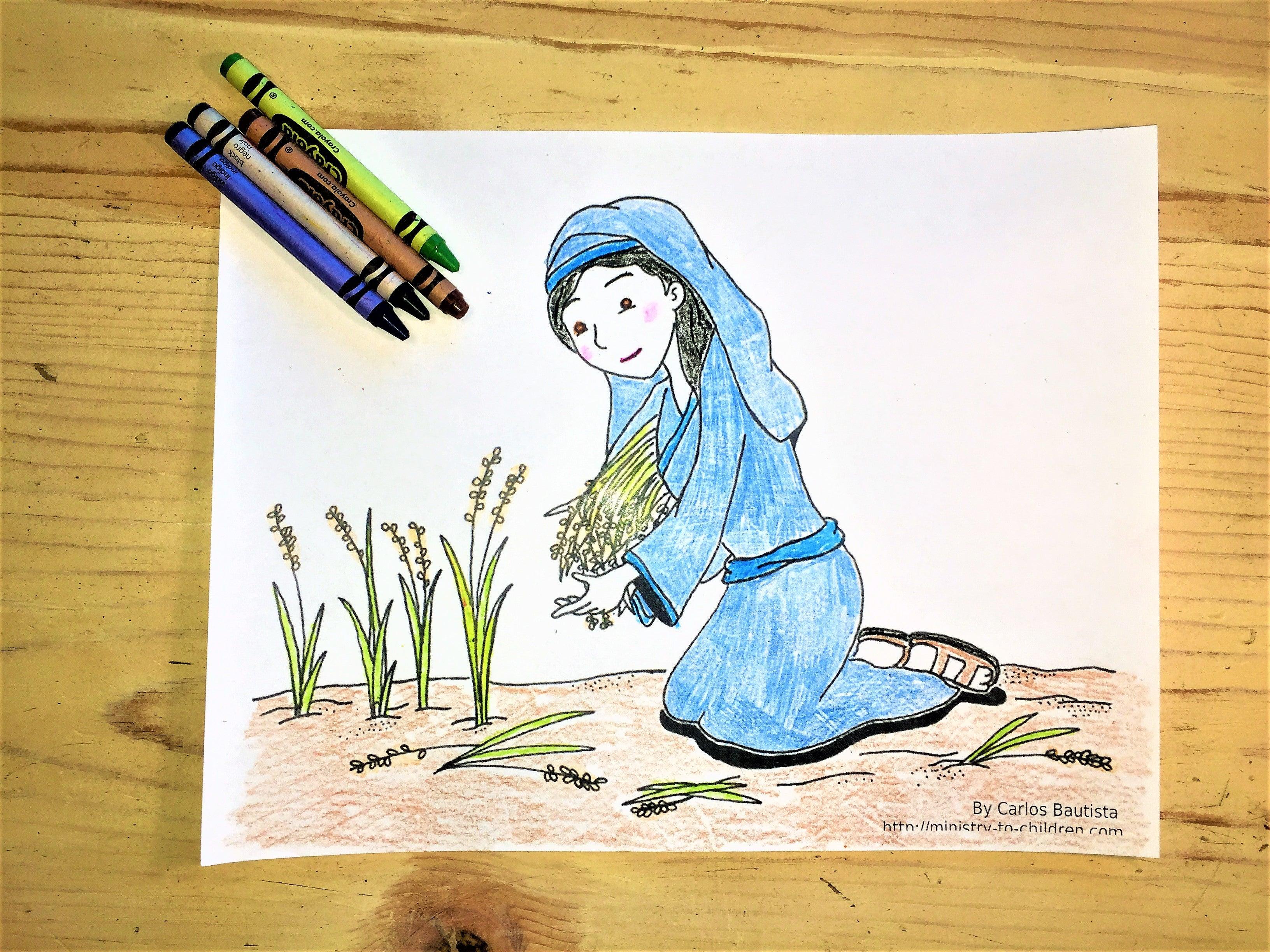 ruth gleaning.coloring page.html