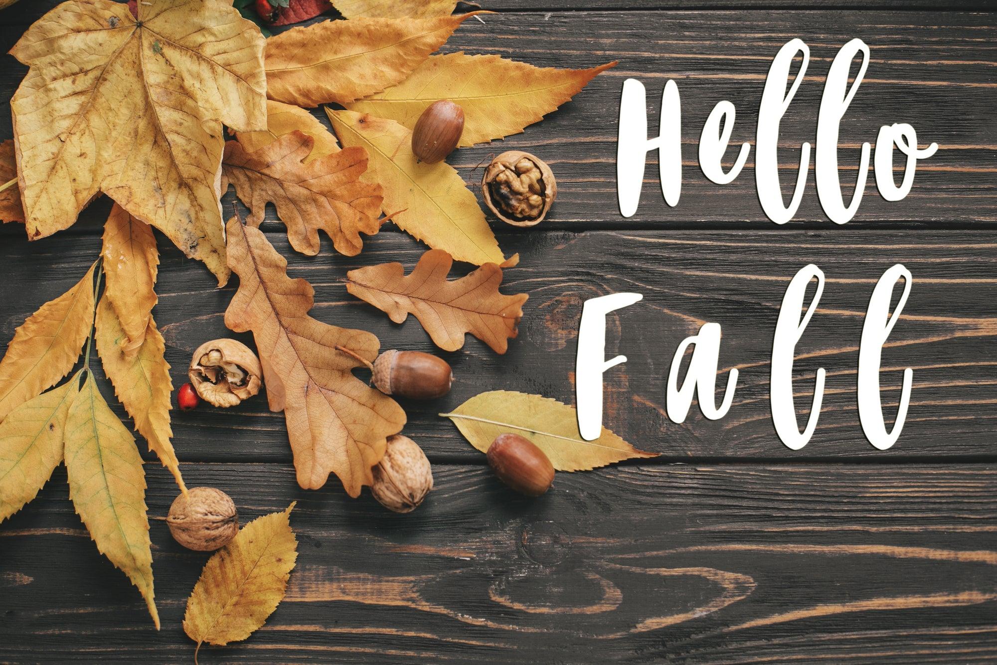 9 Best Sunday School Classroom Decorations for the Fall – Children's ...