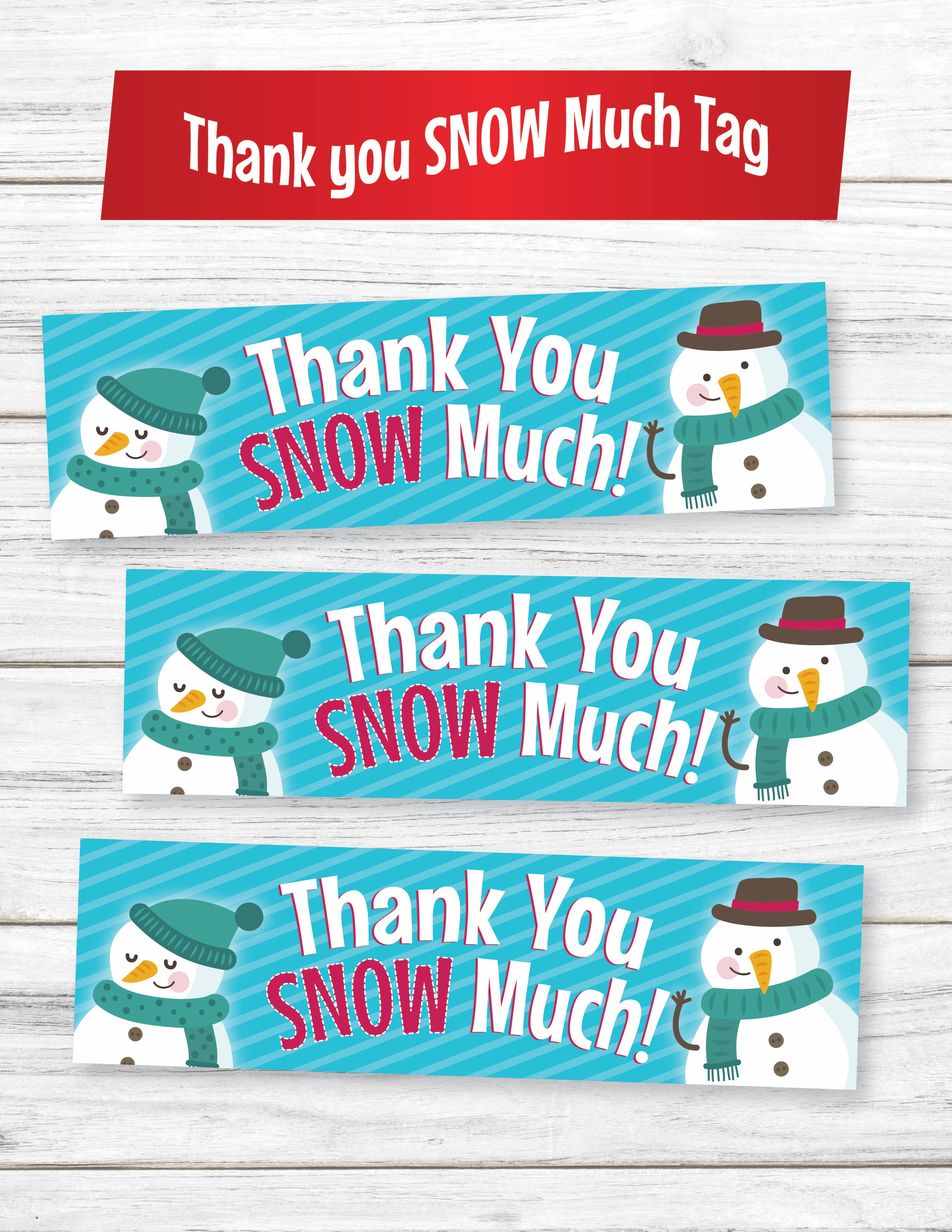 Thank You Snow Much' Christmas Notes – Children's Ministry Deals