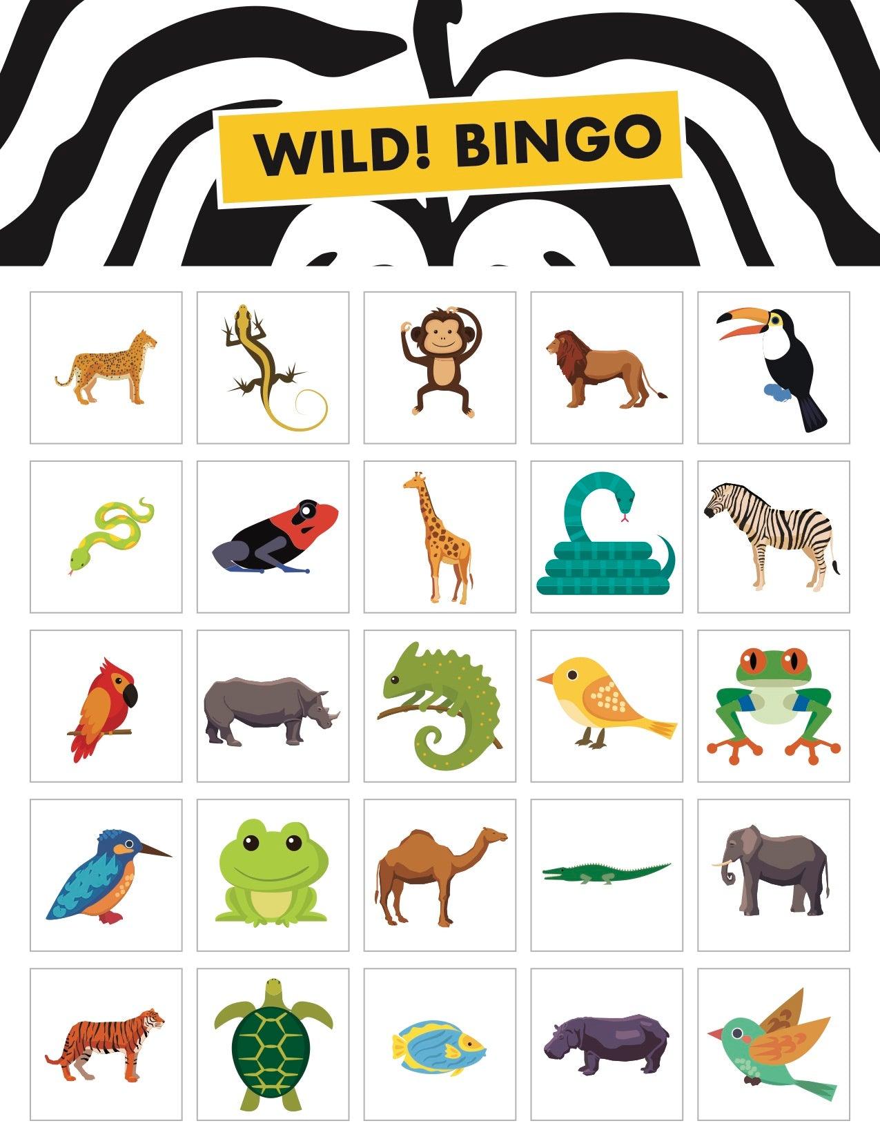 Wild Bible Bingo